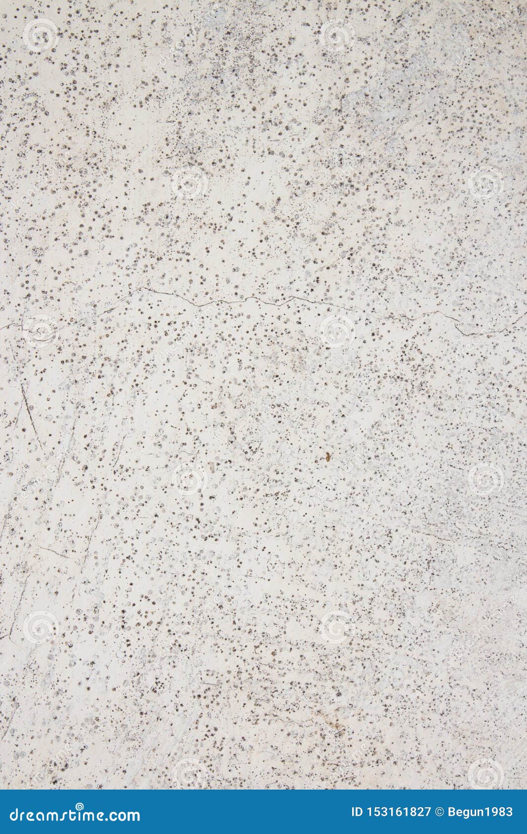 Texture of Old White Wall with Mold. Stock Image - Image of rotten ...