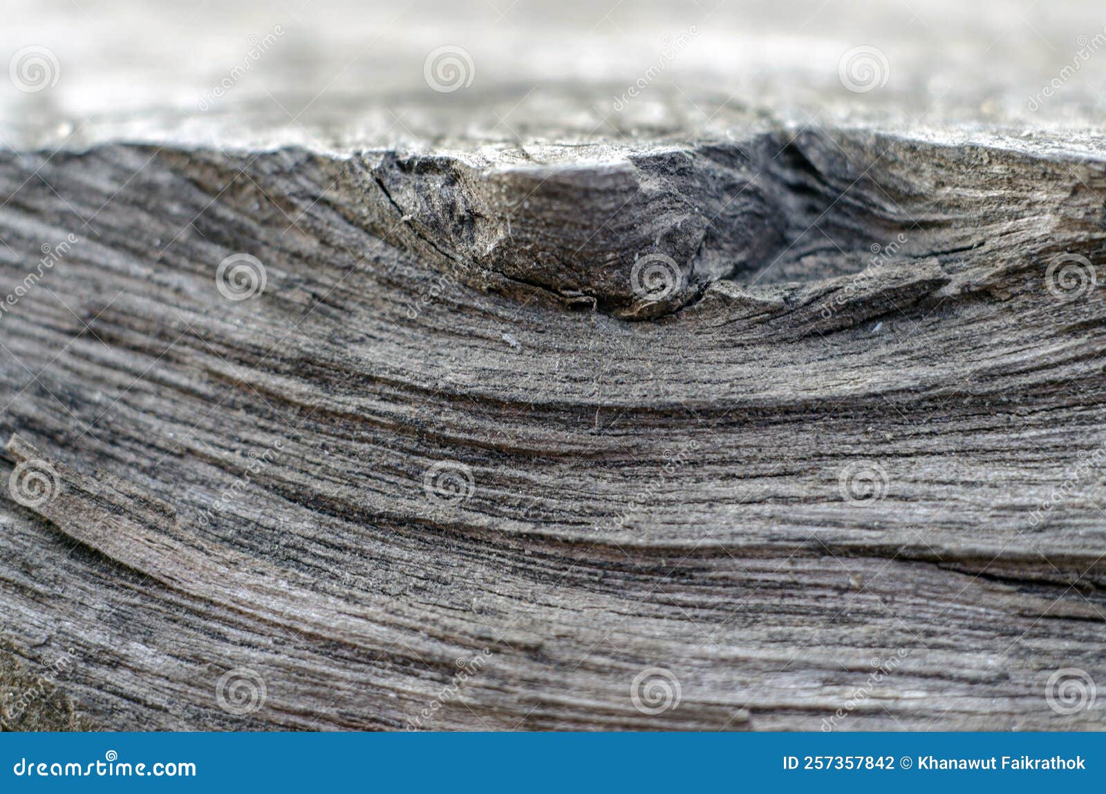 Texture Old Wood Cracks and Decay Stock Photo - Image of tree, wall ...