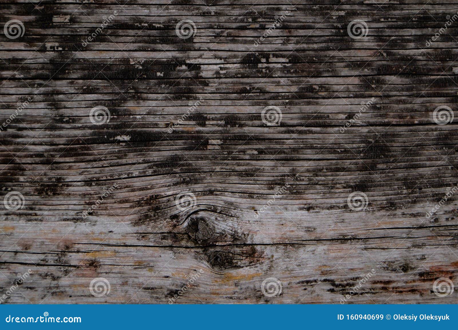 The Texture Of The Old Wood. The Texture Of The Damaged Tree. Royalty ...