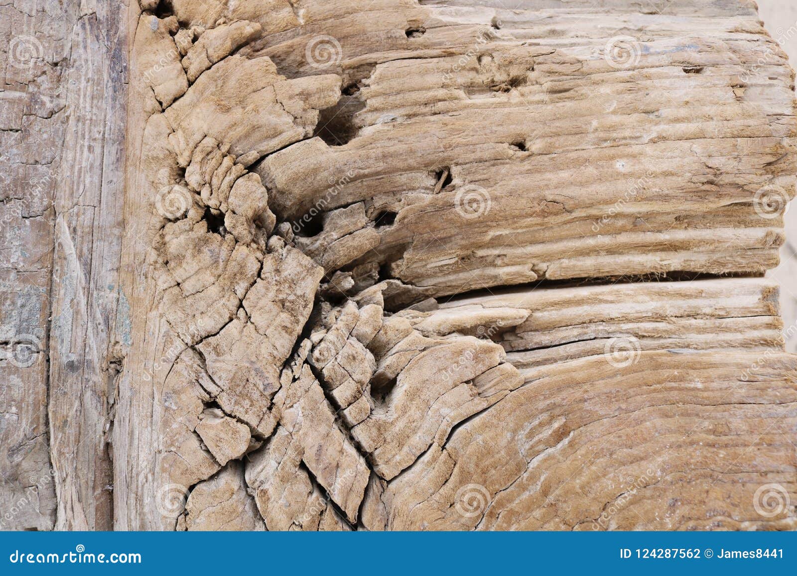 Texture of an Old Wooden Bar. Stock Photo - Image of chopped, pile ...
