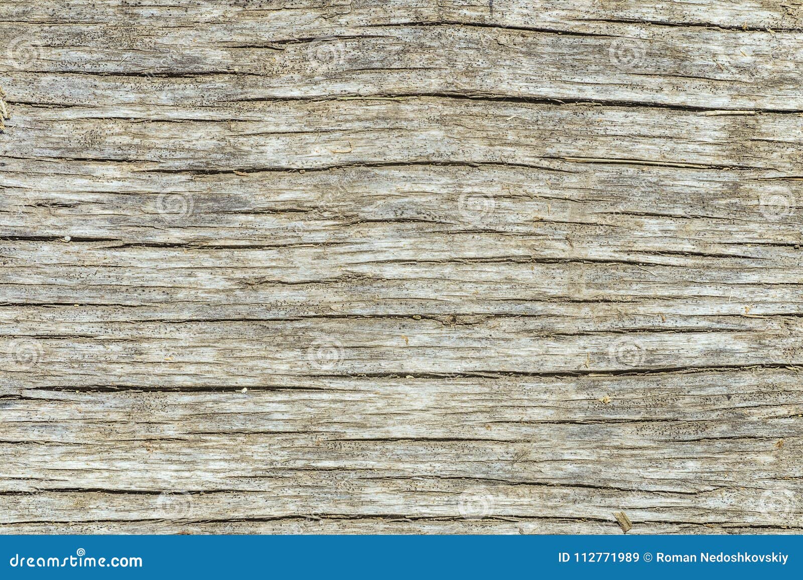 Texture of the Old Wooden Cracked Board Stock Image - Image of beam ...