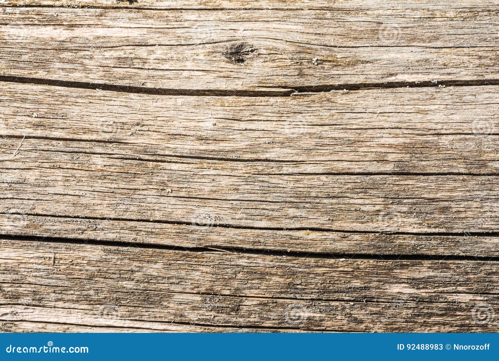 Texture of an Old Wooden Log without Bark with a Lot of Longitudinal ...