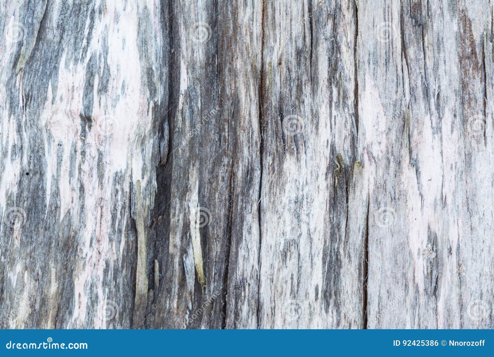 Texture of an Old Wooden Log with Cracks Stock Photo - Image of decor ...