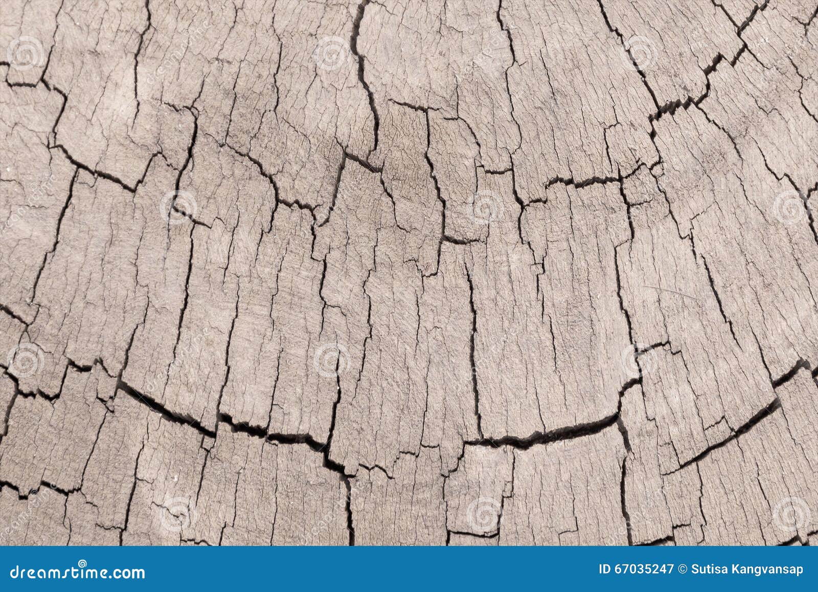 Texture of old wooden log stock image. Image of construction - 67035247