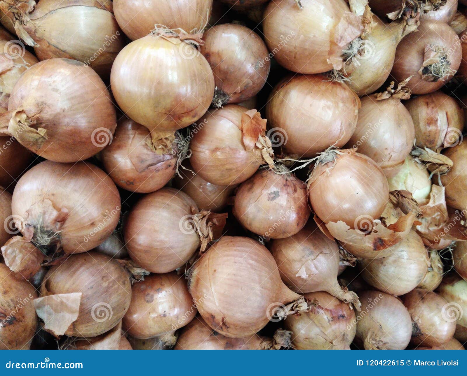 Texture of onions stock image. Image of haphazard, natural - 120422615