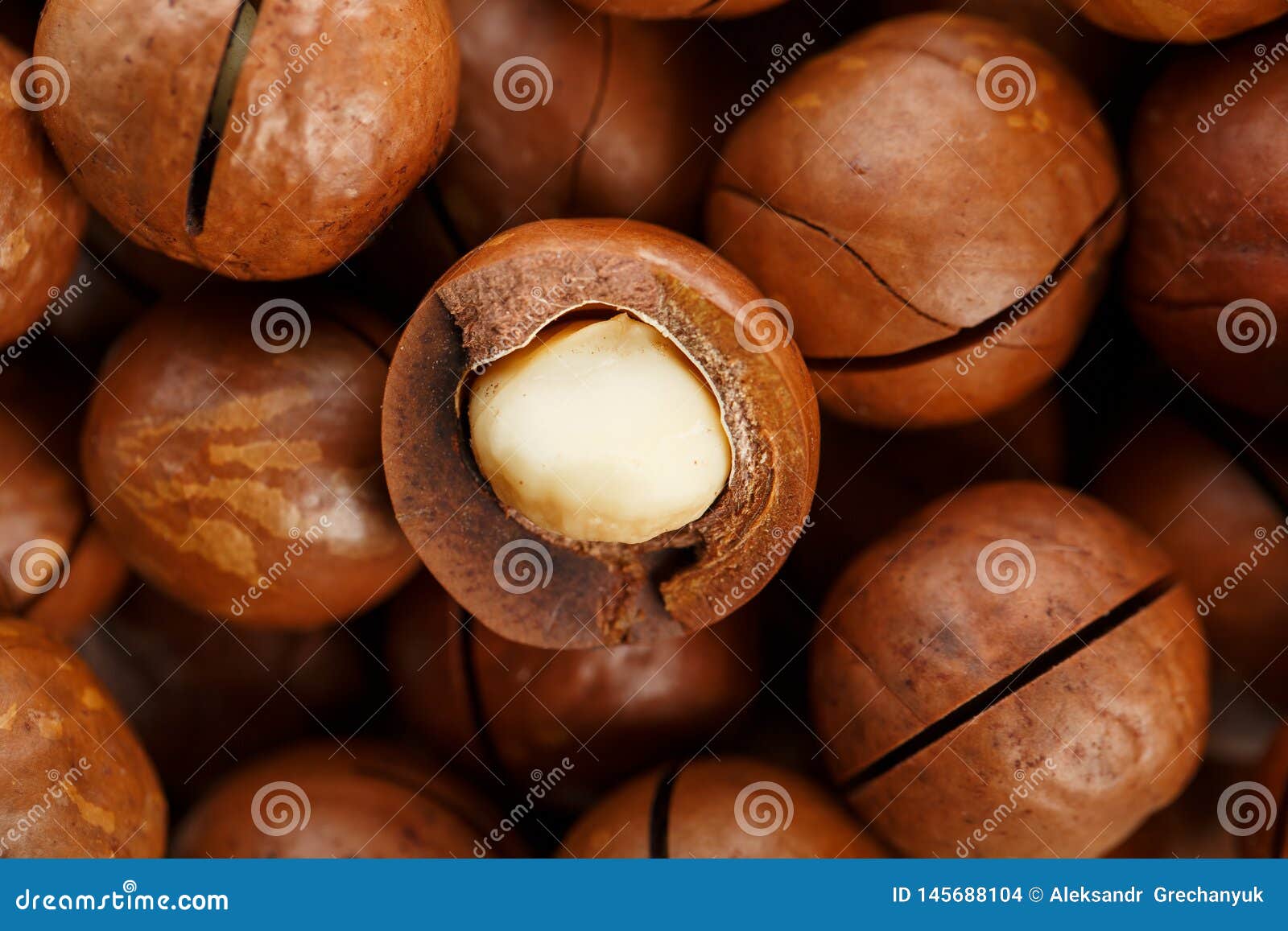 Texture of Organic Macadamia Nut Fresh Natural Fruit Shelled One Nut in ...