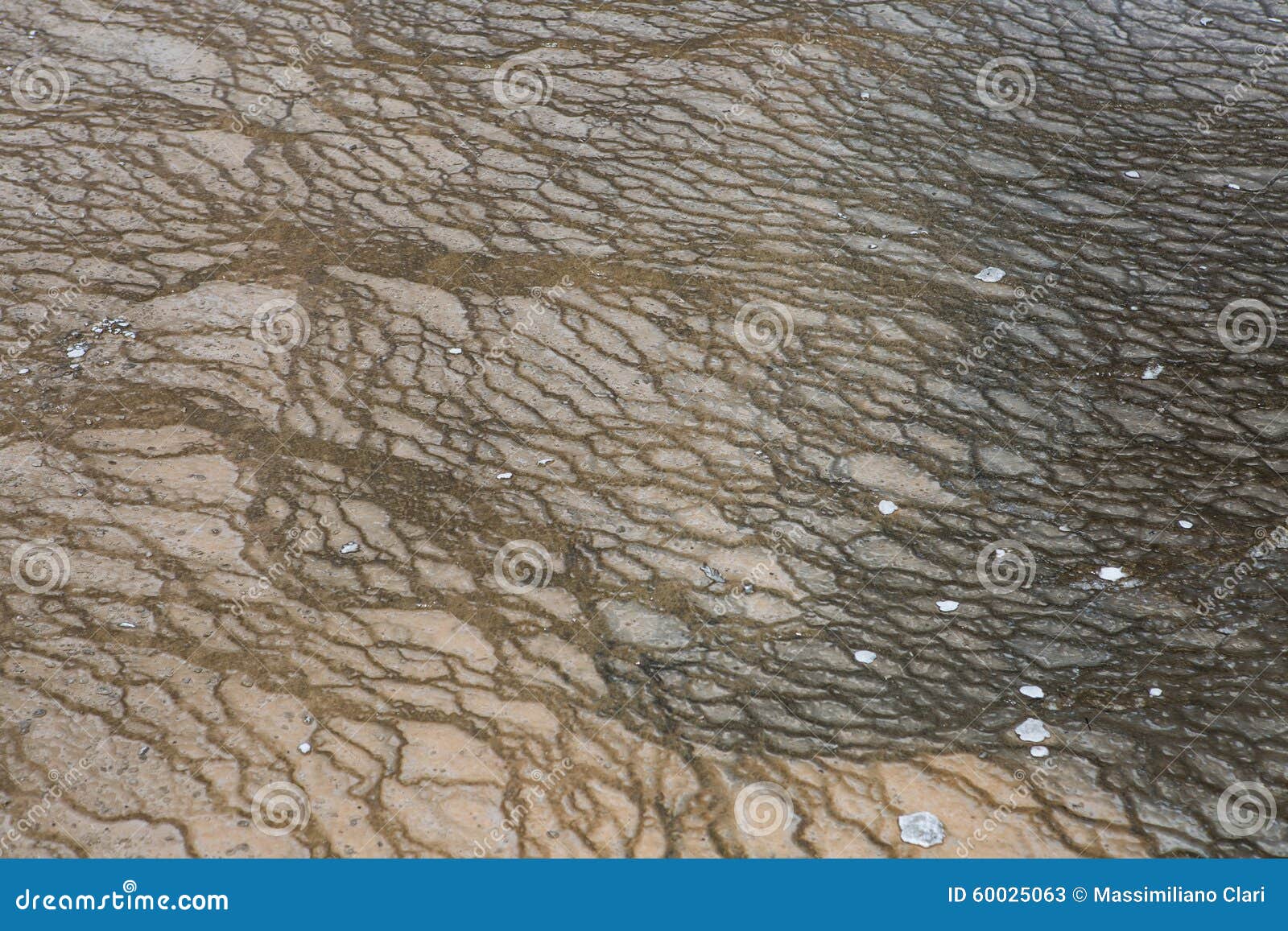 Texture Organic Pattern Background Stock Image - Image of crystal ...