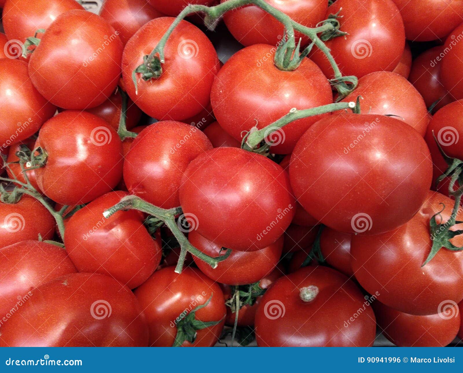 Texture of Outdoor Tomatoes Stock Photo - Image of texture, vibrant ...