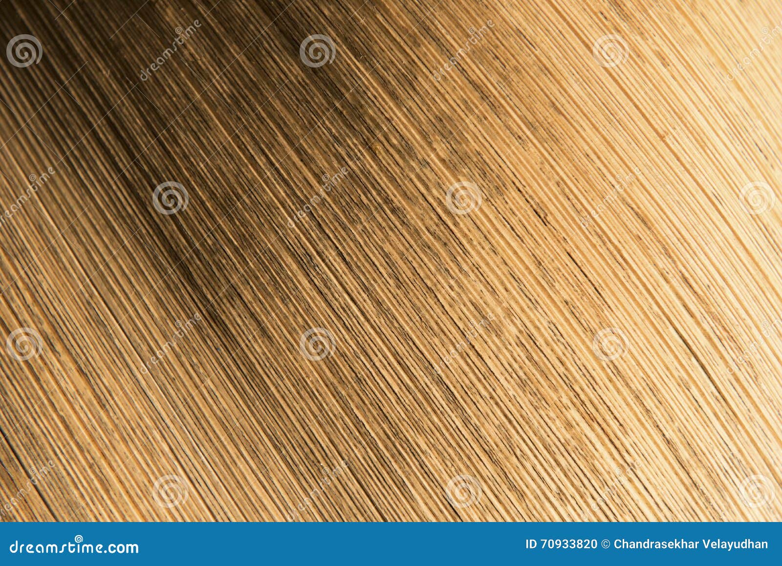 Texture of the Outer Sheath of a Palm Tree Flower Stock Photo - Image ...