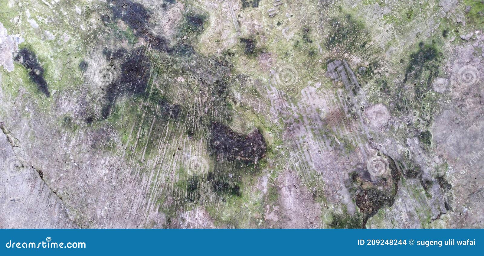 Texture Overgrown with Beautiful Moss Stock Photo - Image of texture ...