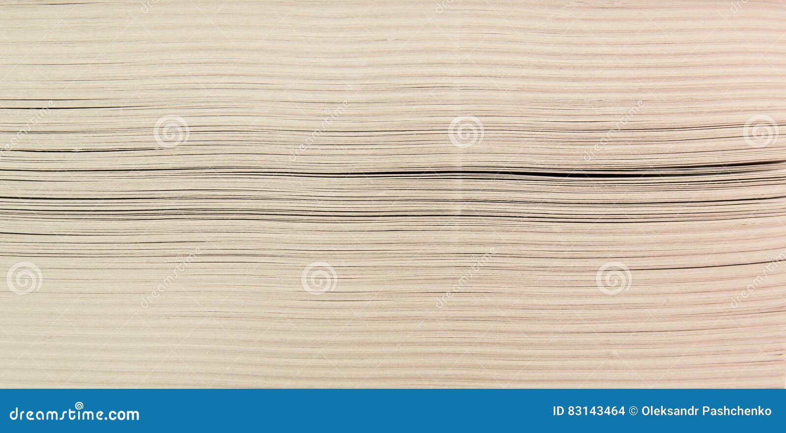 Texture of the pages stock photo. Image of template, objects - 83143464