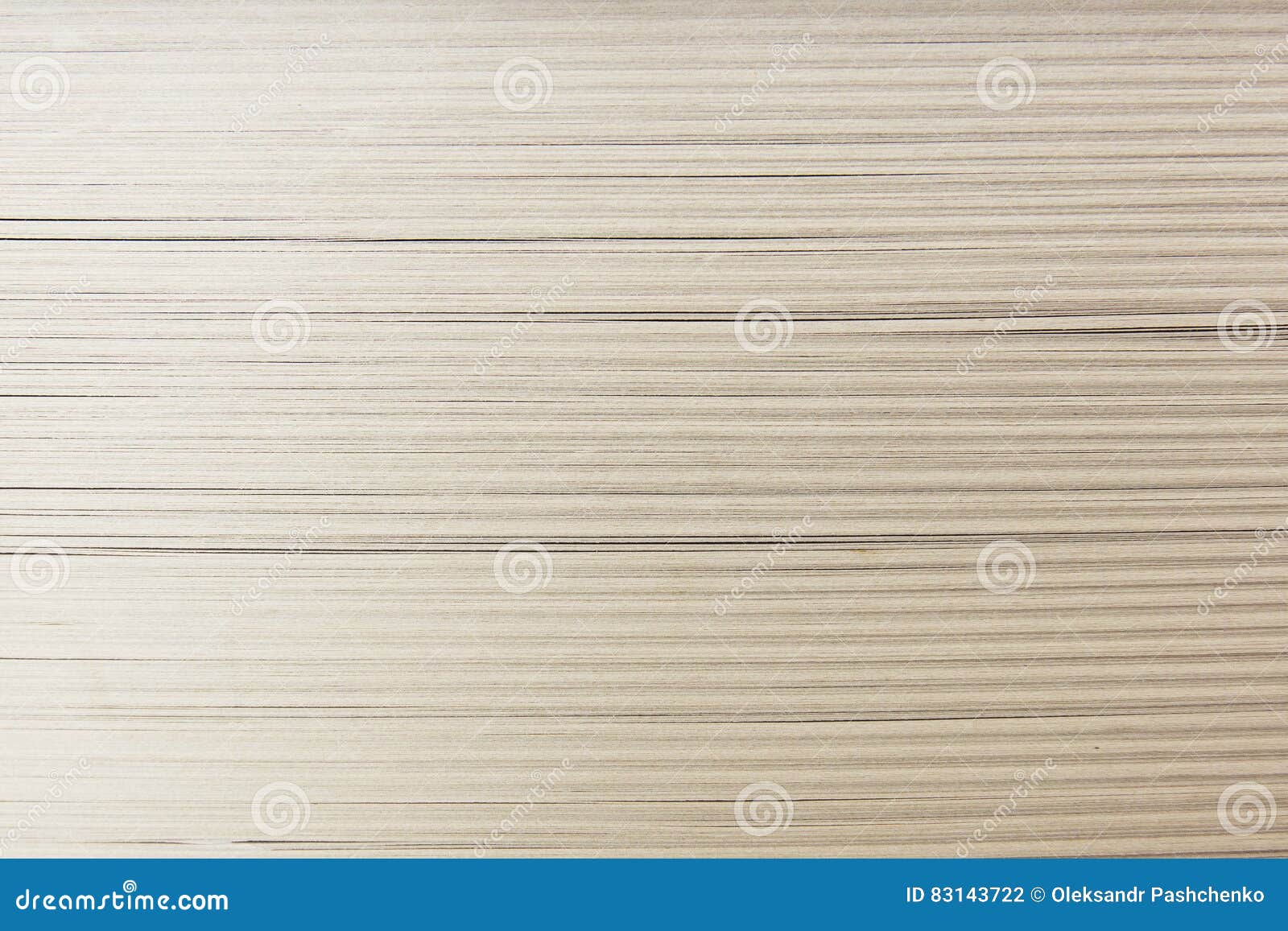 Texture of the pages stock photo. Image of book, isolated - 83143722