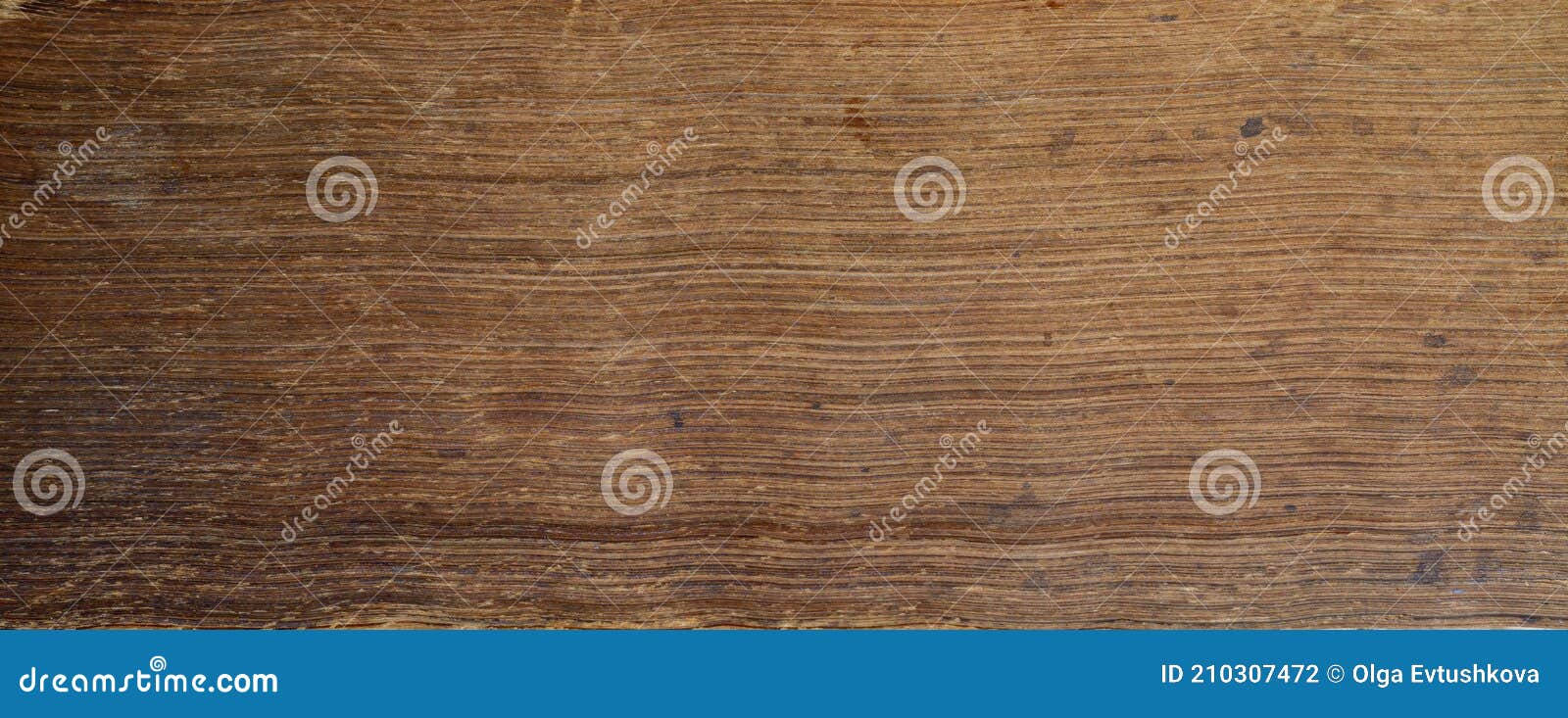 The Texture of the Pages of an Old Book, Side View. Lots of Old Brown ...