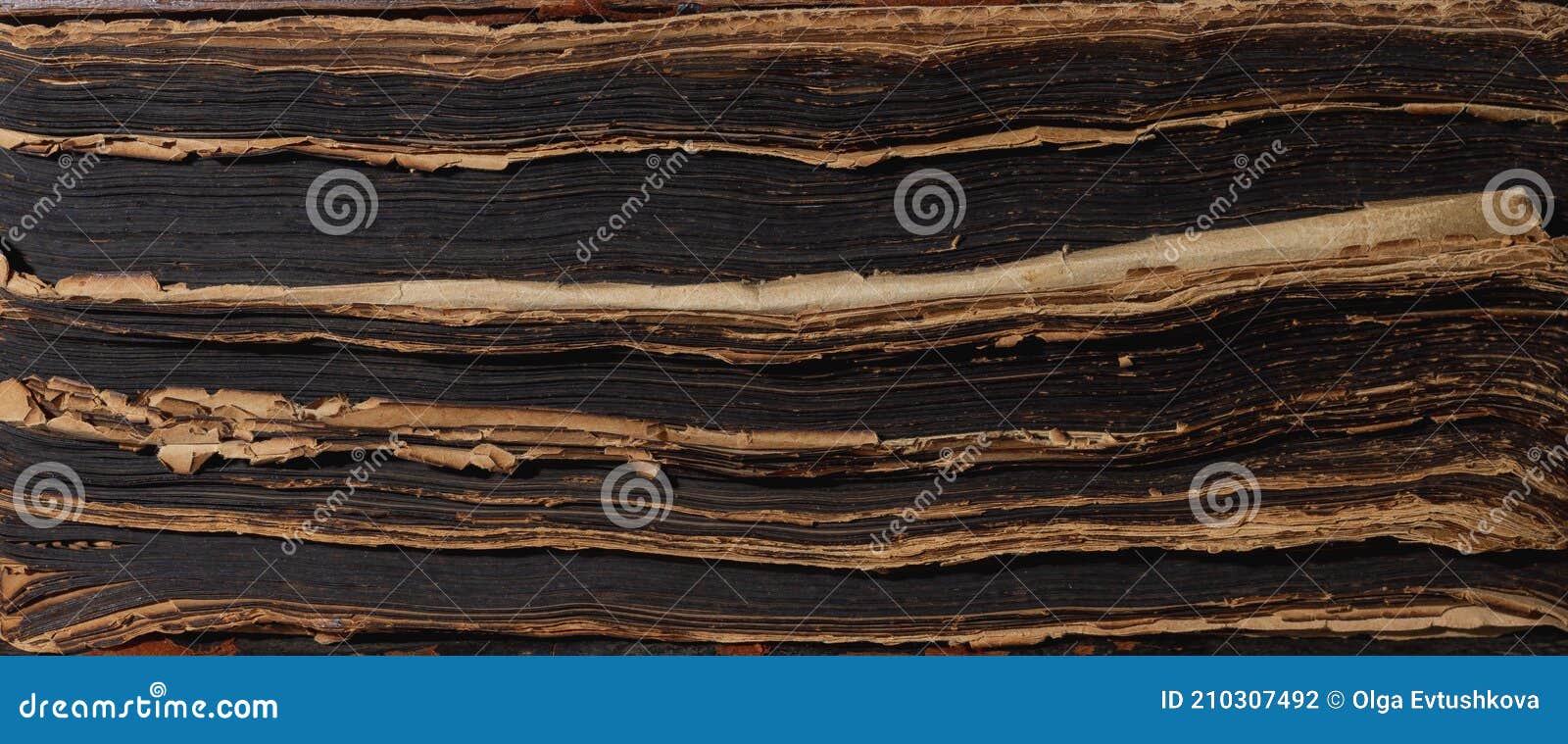 The Texture of the Pages of an Old Book, Side View. a Stack of Old ...