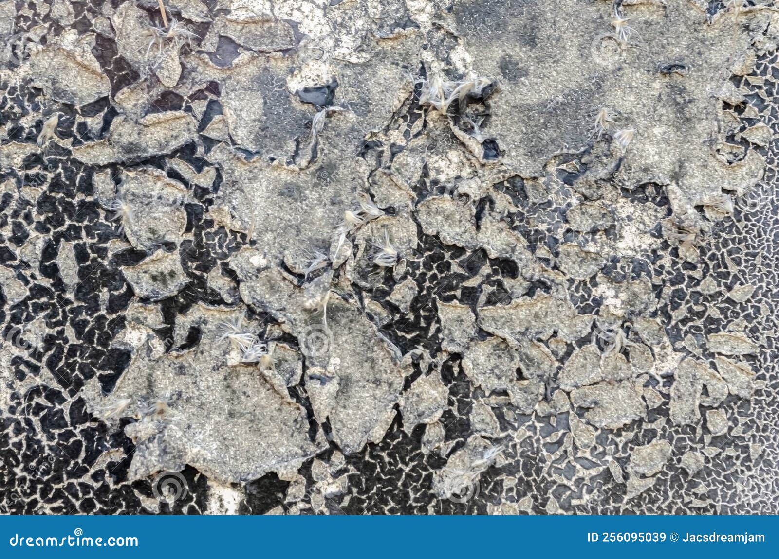 Texture of Paint Stripping from Old Wall Stock Image - Image of paint ...