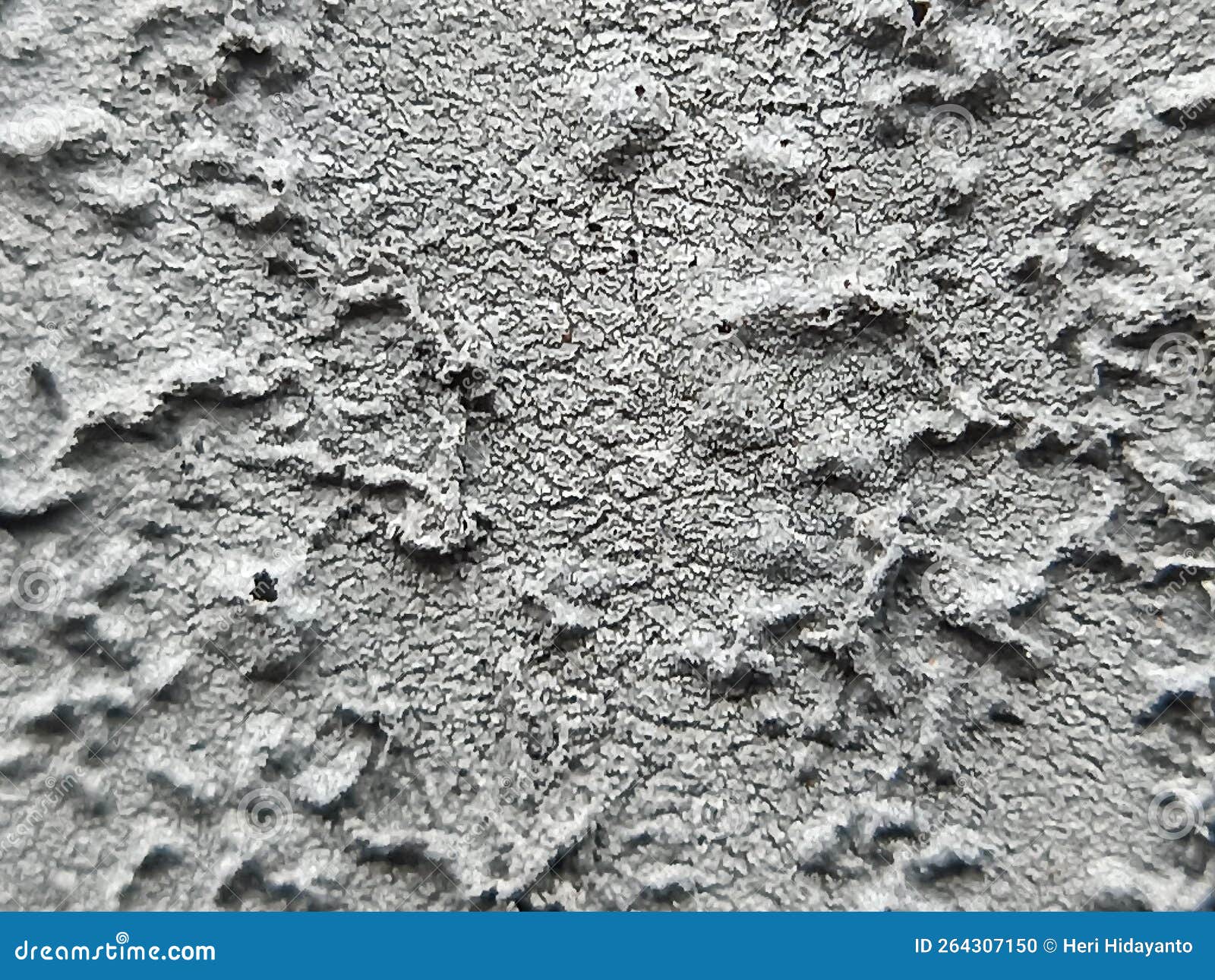 Texture of Grey Paint on the Wall Stock Photo - Image of stucco ...