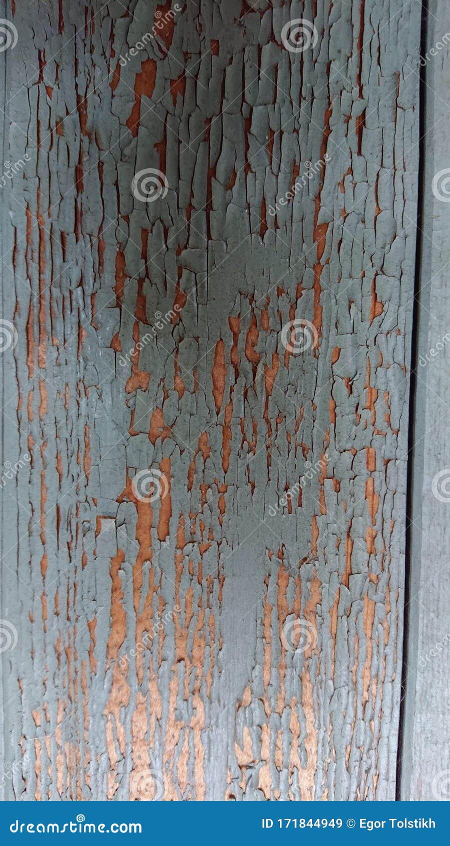 Texture Paint Wood Winter Color Stock Image - Image of winter, color ...