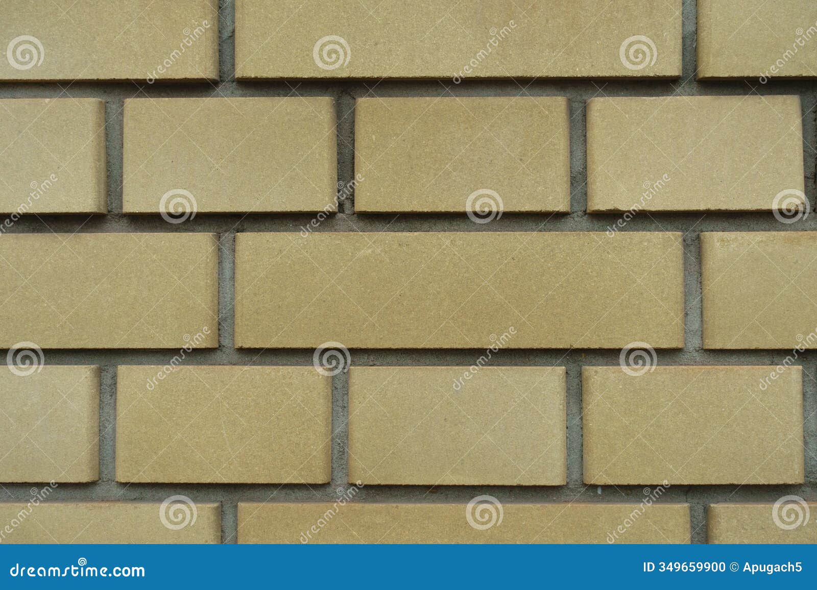Texture of Pale Yellow Brick Wall with English Bond Stock Photo - Image ...