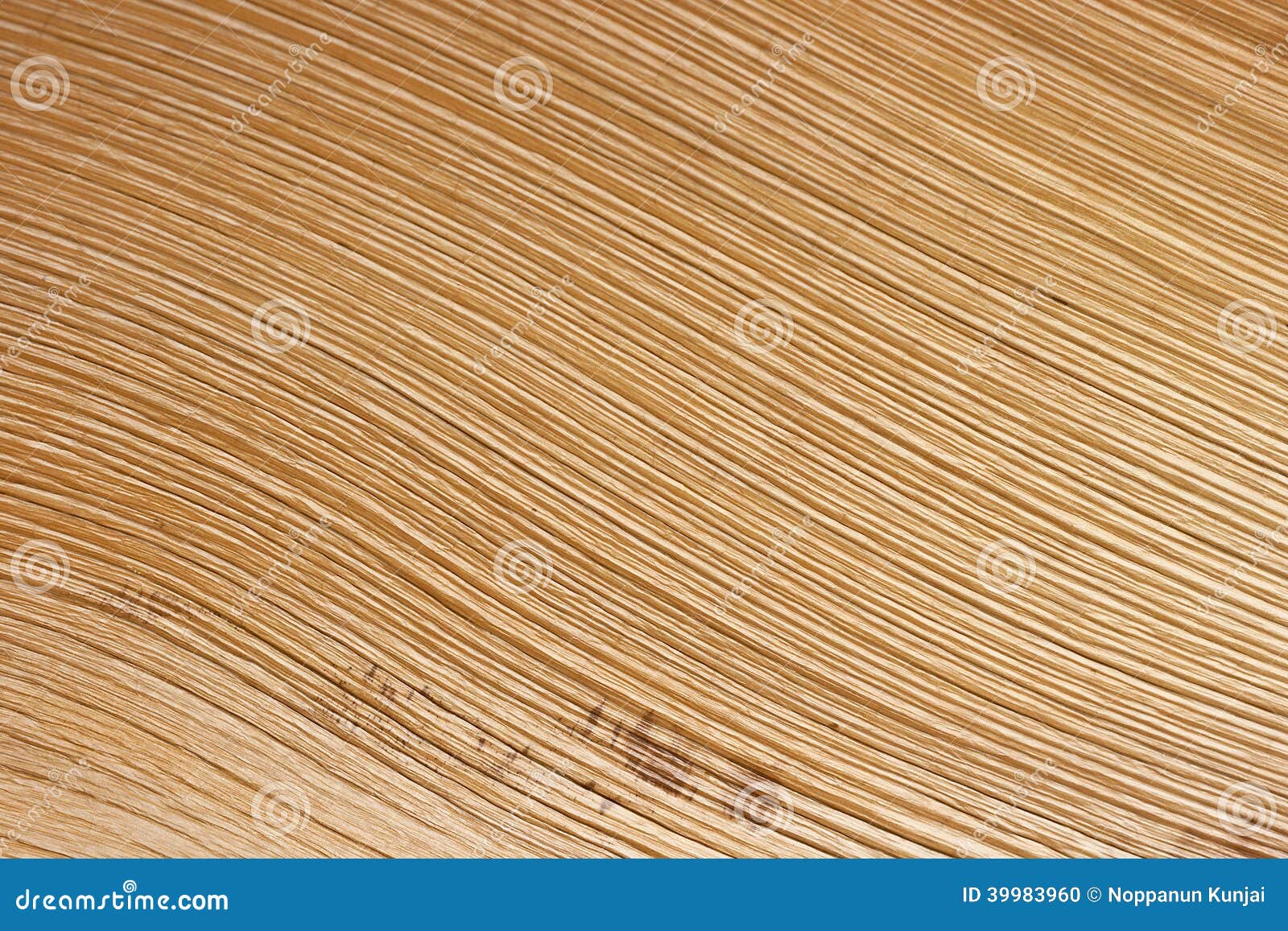 Texture of palm limb stock photo. Image of surface, brown - 39983960