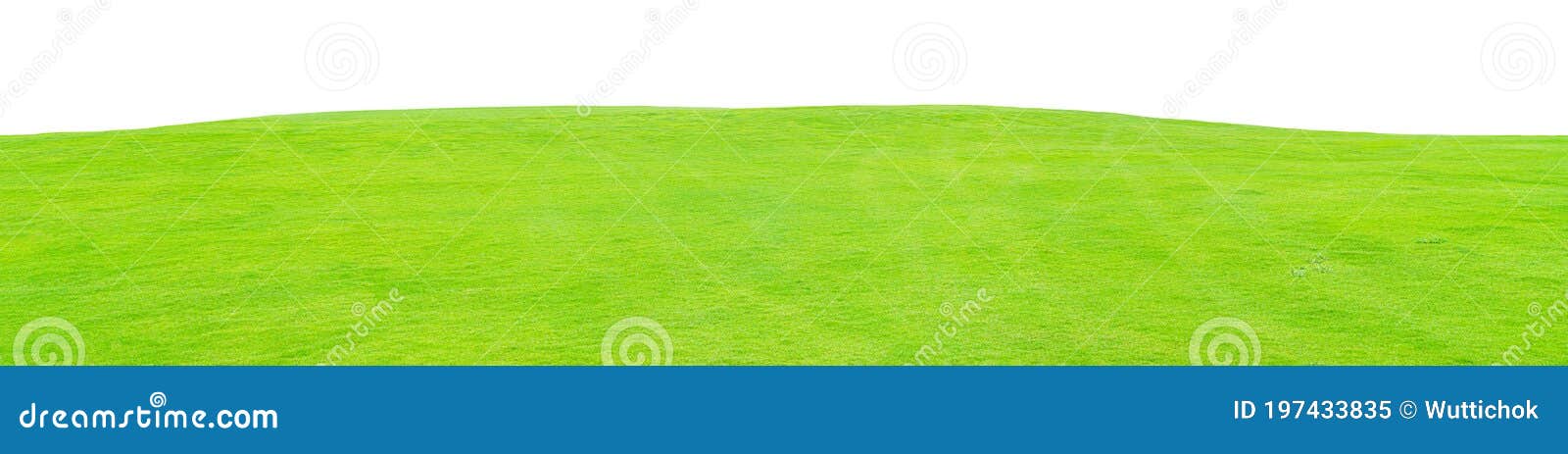 Texture of Panorama Beautiful Green Grass Pattern from Golf Course ...
