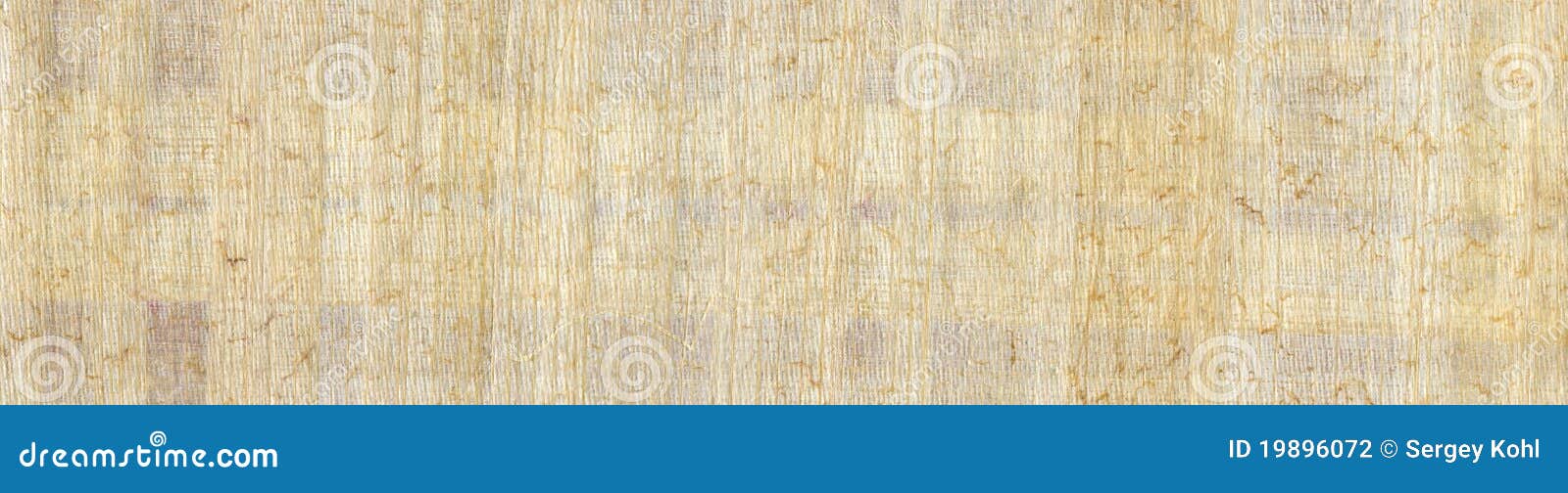 The texture of the papyrus stock photo. Image of handmade - 19896072