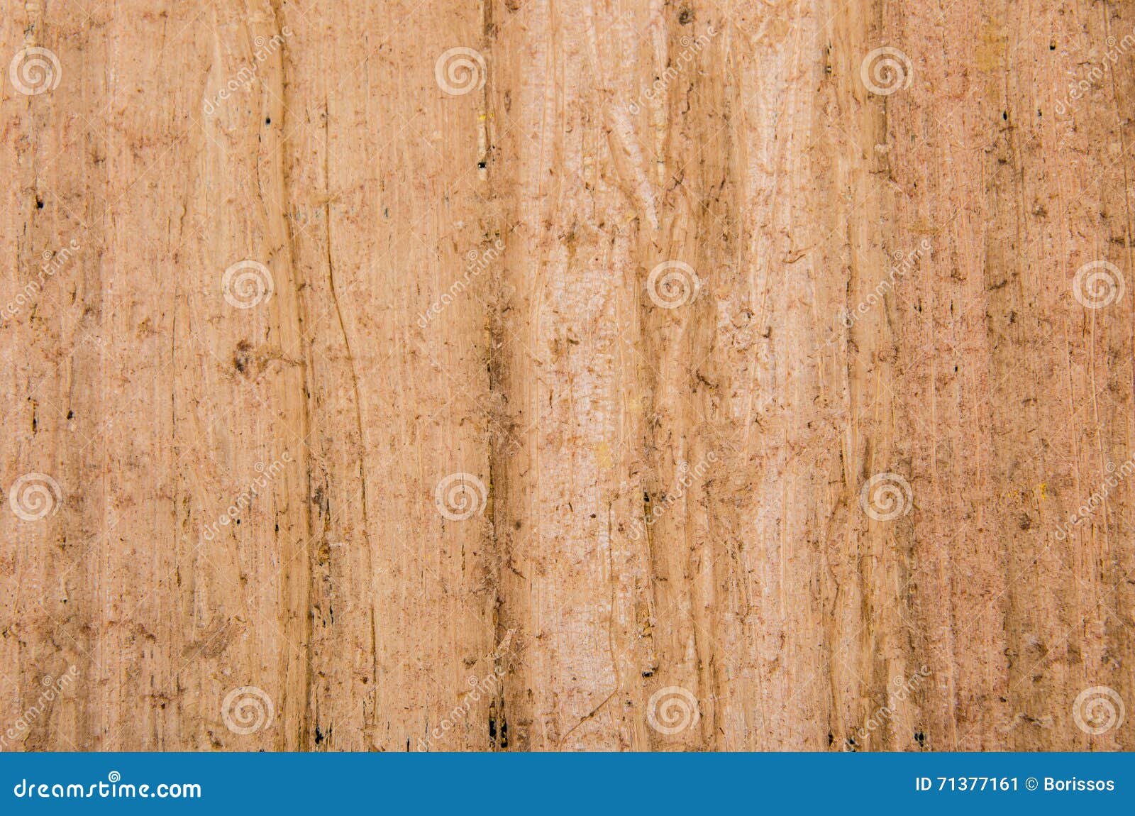 The texture of the papyrus stock image. Image of fiber - 71377161