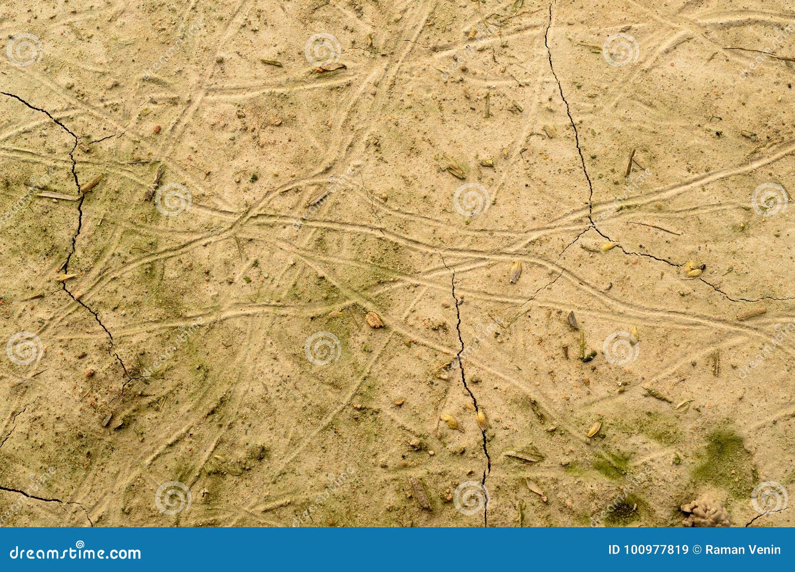 Texture on Parched Soil, Cracks and Blotches. Stock Image - Image of ...