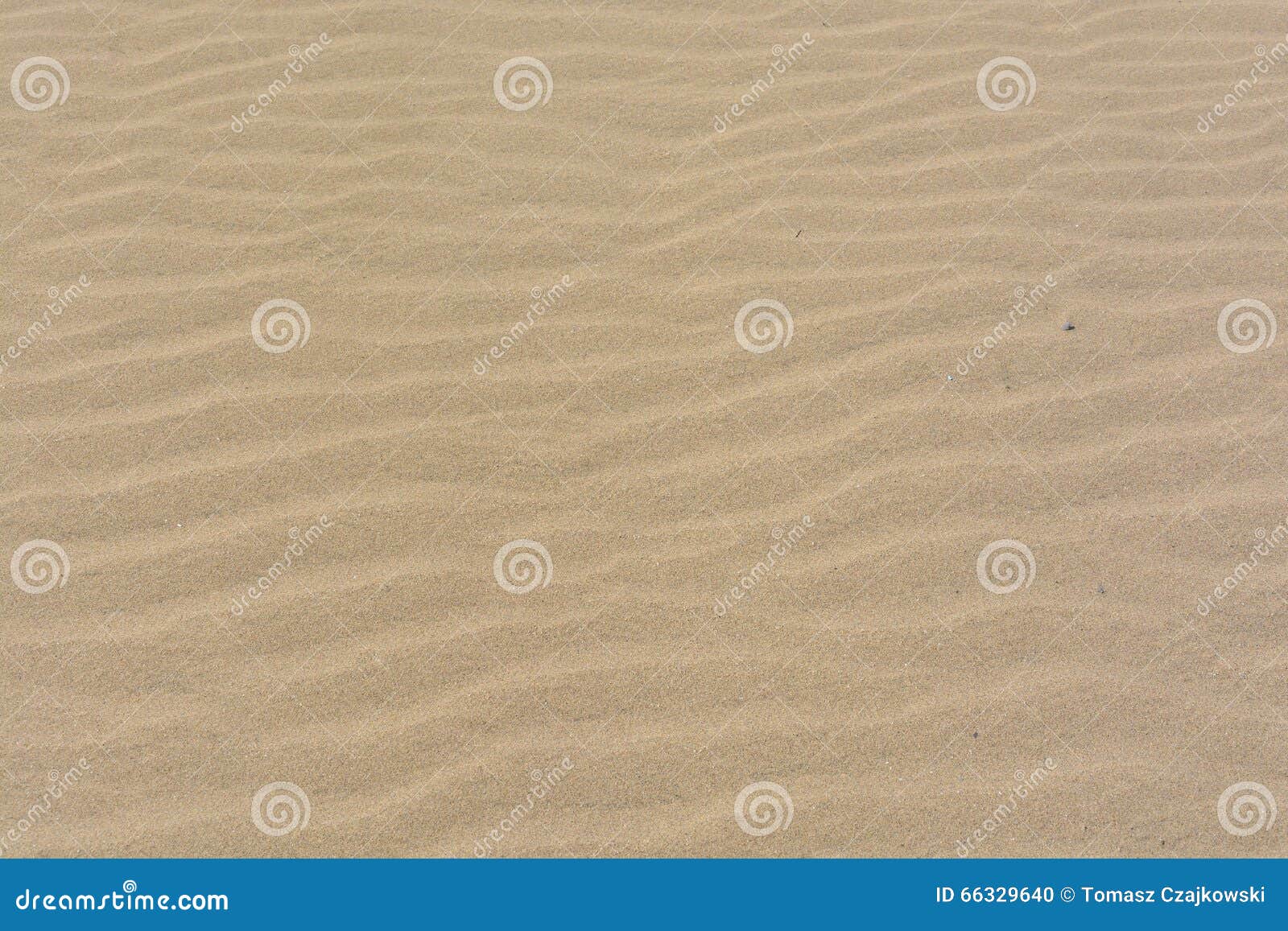 Texture, Pattern, Background of Sand in the Dunes of Maspalomas, Grand ...