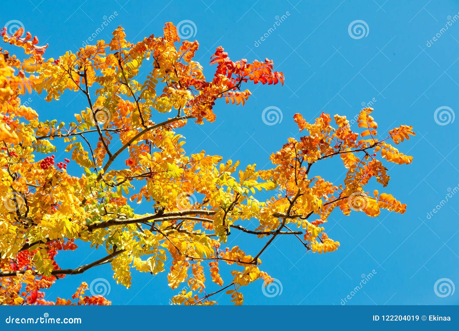 Texture, Pattern, Background. Texture, Pattern, Background. Aut Stock ...