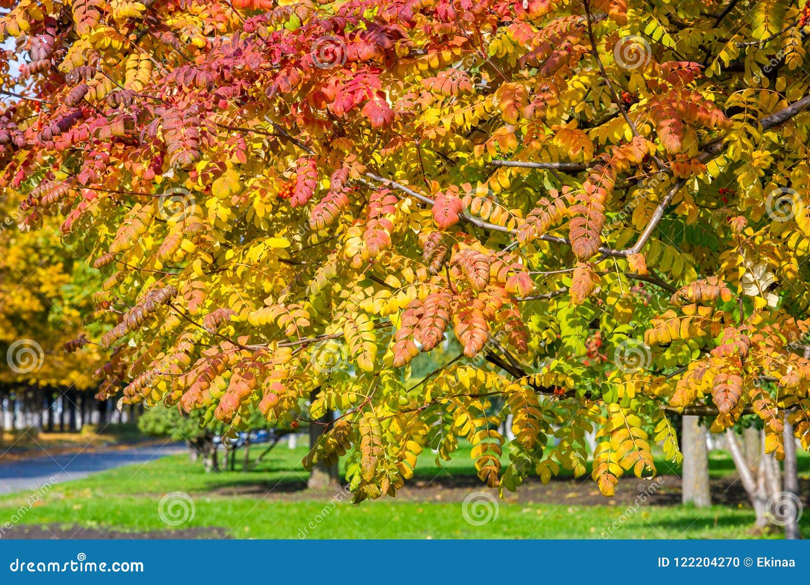 Texture, Pattern, Background. Texture, Pattern, Background. Aut Stock ...