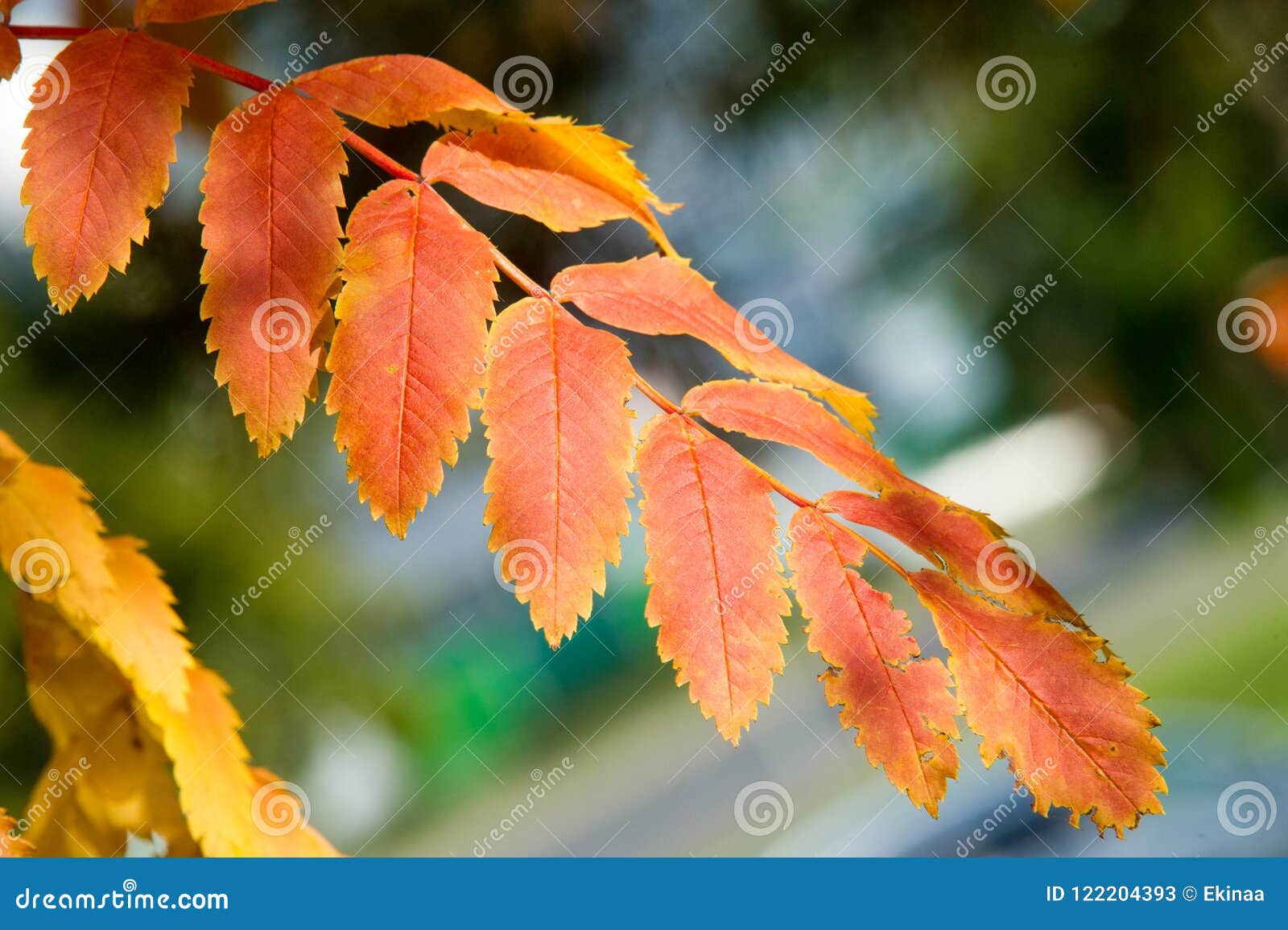 Texture, Pattern, Background. Texture, Pattern, Background. Aut Stock ...