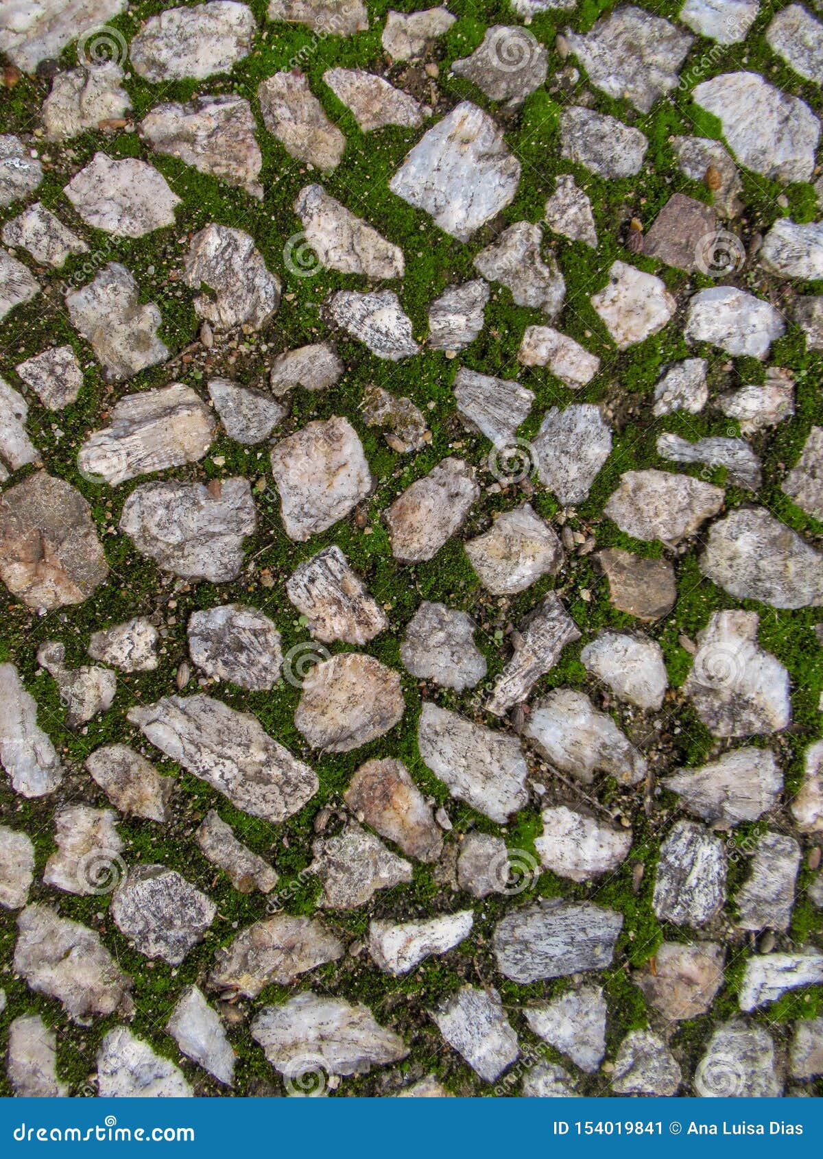 Texture and Pattern: Cobblestone Floor Stock Image - Image of closeup ...