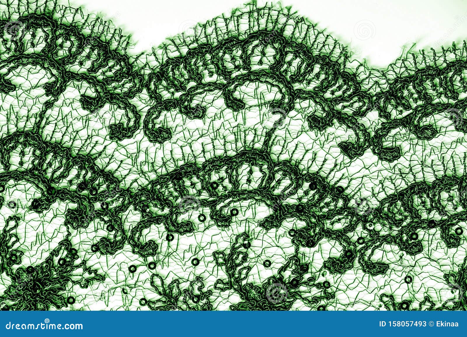 Texture, Pattern, Lace Fabric in Green on a White Background. this is a ...
