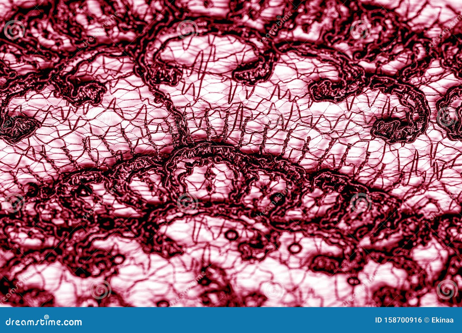 Texture, Pattern, Lace Fabric in Red on a White Background. Delicate ...