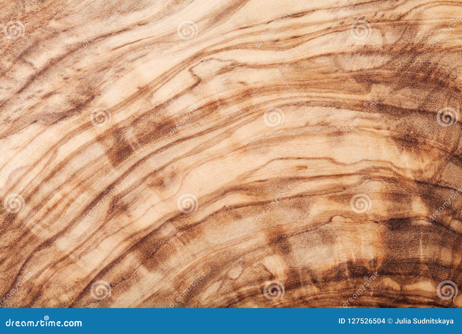 A Pattern Of Oak Wood. Wood Grain Texture. Cross Section Of A Tree ...