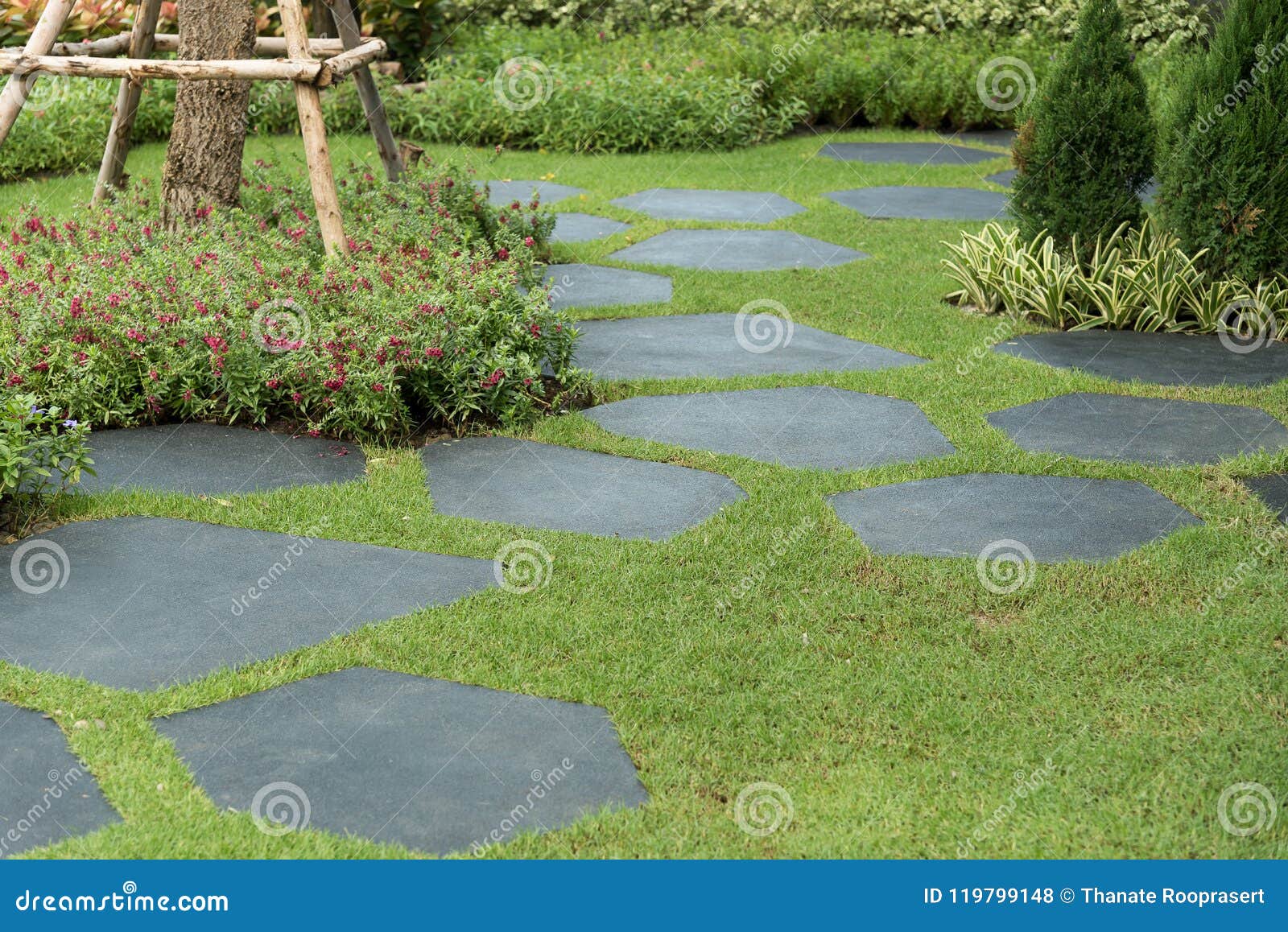 Texture or Pattern of Paving Walkway. Stock Photo - Image of ...