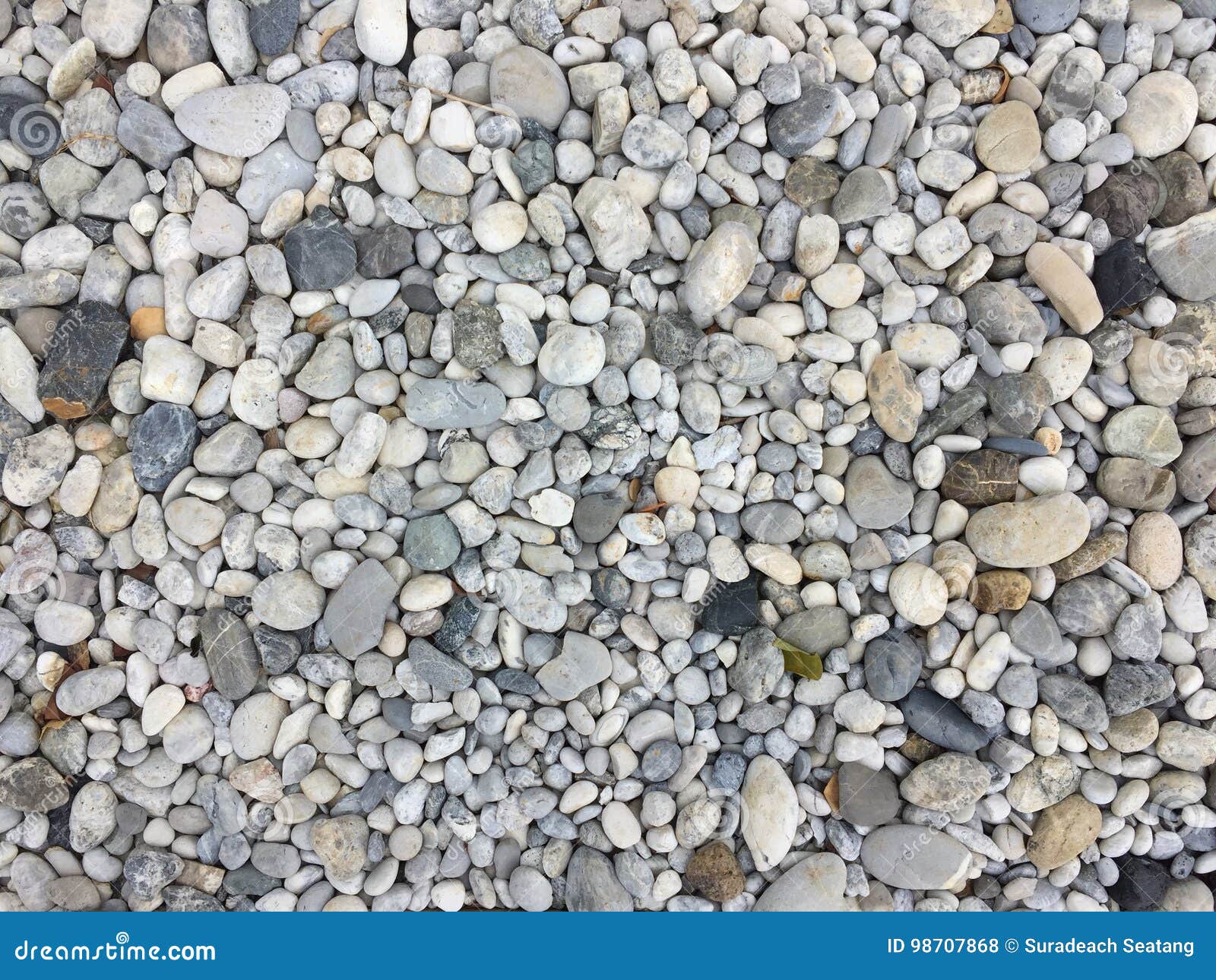 Texture Pattern of Pebbles Gravel and Small Stones in Walk Way Path ...