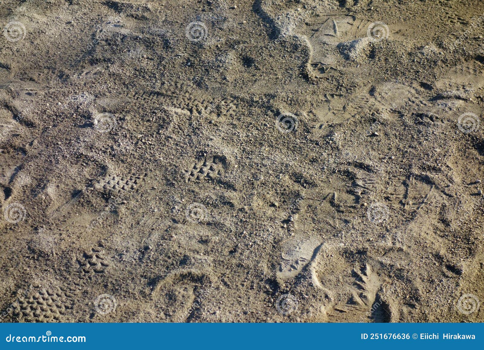 Soil and dirt sand texture stock photo. Image of nature - 251676636