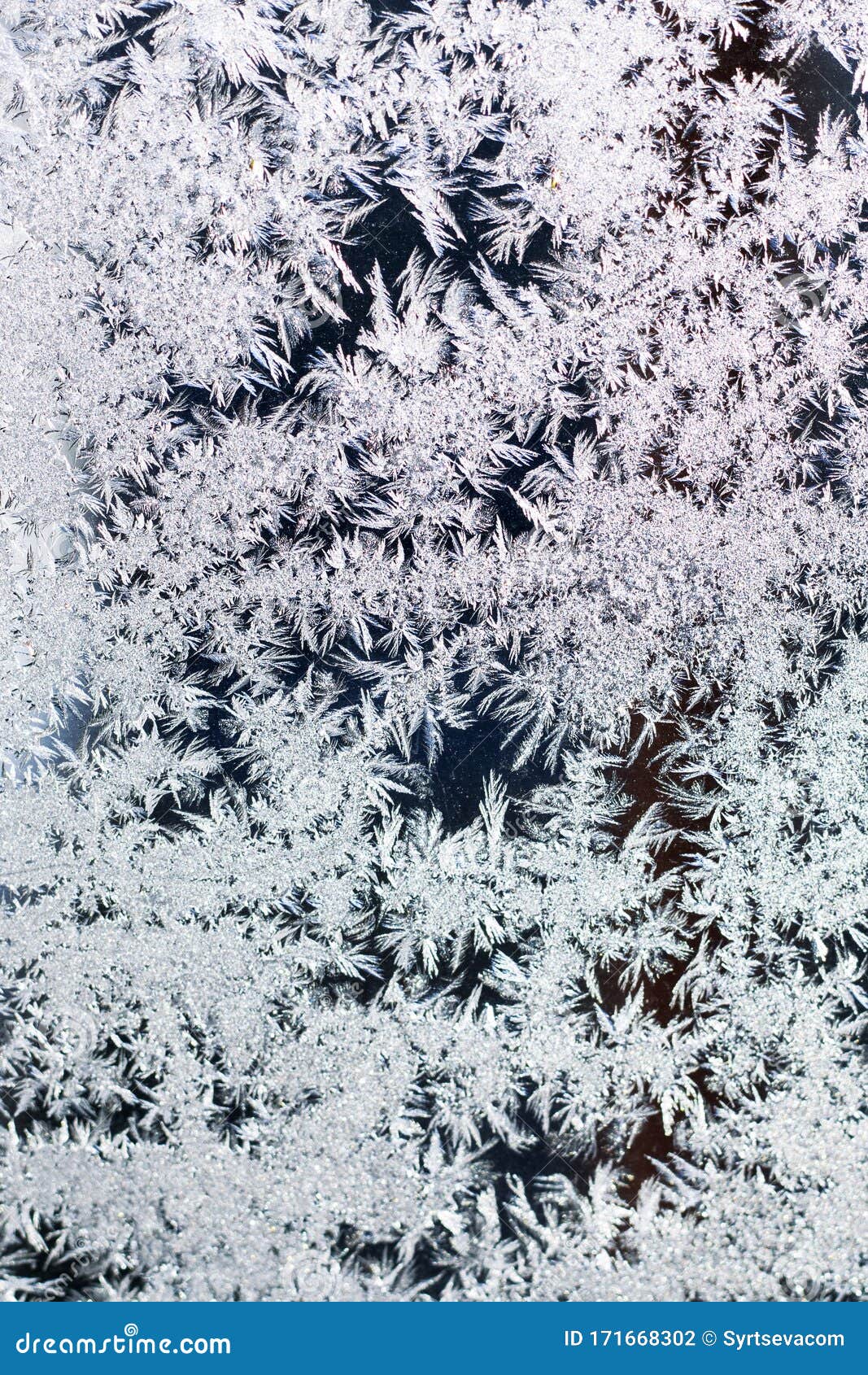 Texture Pattern of Snowflakes of Crystals of Snow on Glass. Selective ...