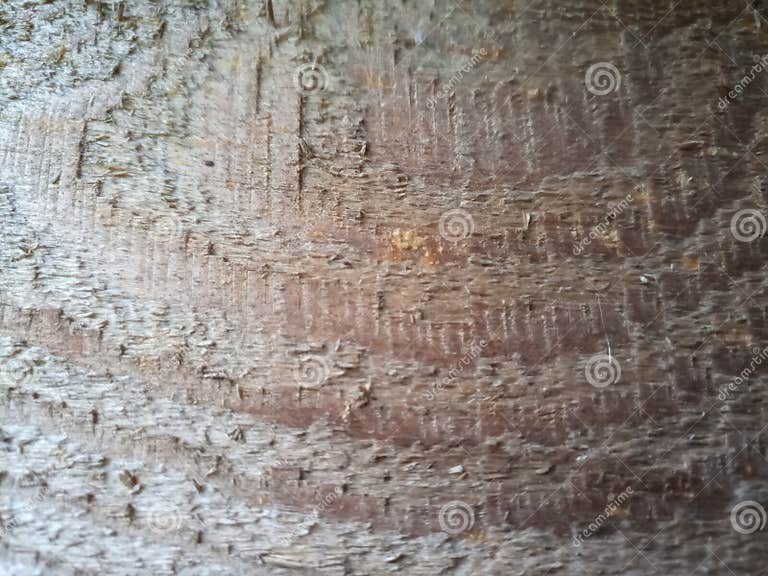 Texture Patterns of Old Darkened Scratched Board from Tree Trunk with ...