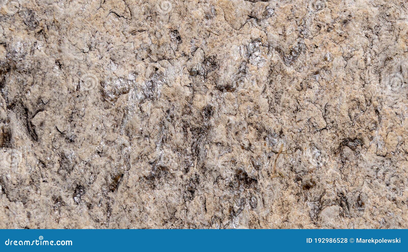 Texture of Patterns on Red Sandstone Stock Photo - Image of cream, rock ...