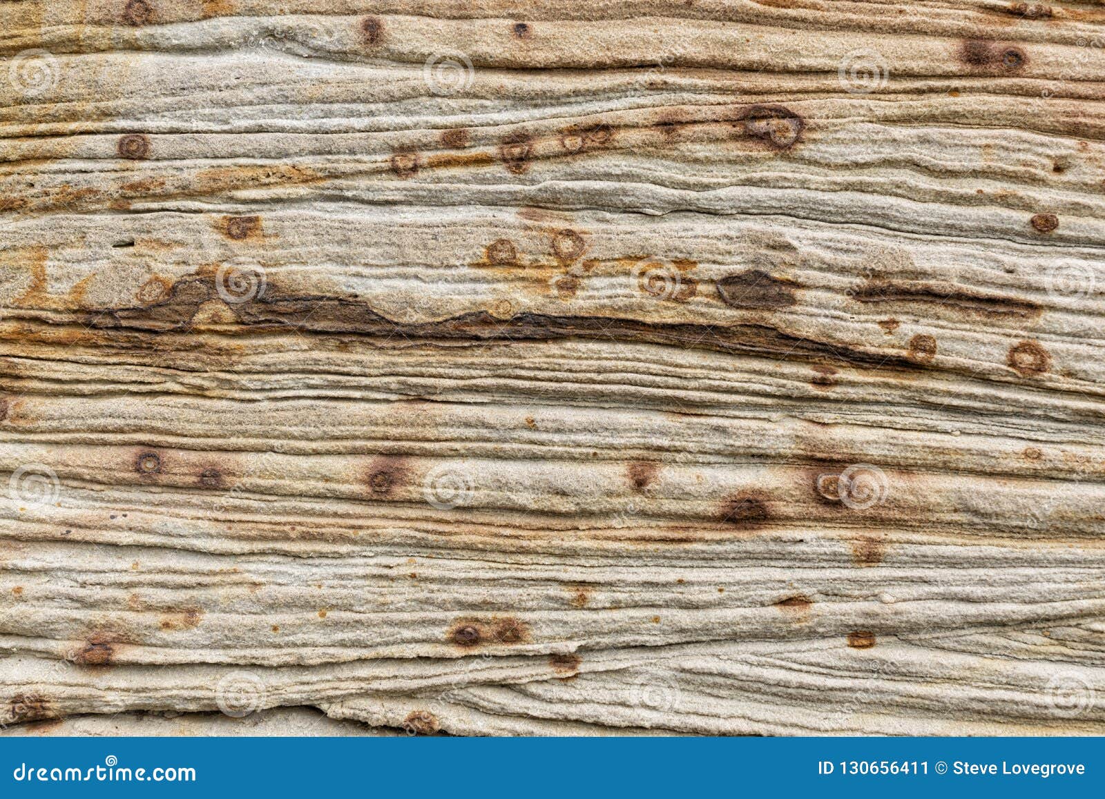 Texture and Patterns in a Section of Exposed Sandstone Rock Stock Image ...