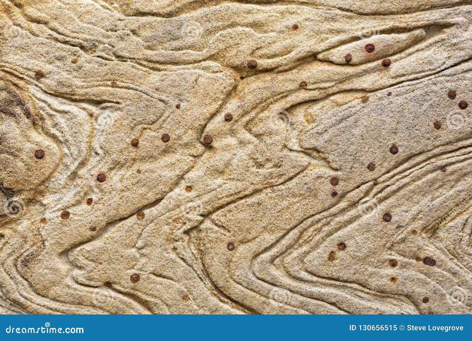 Texture and Patterns in a Section of Exposed Sandstone Rock Stock Image ...