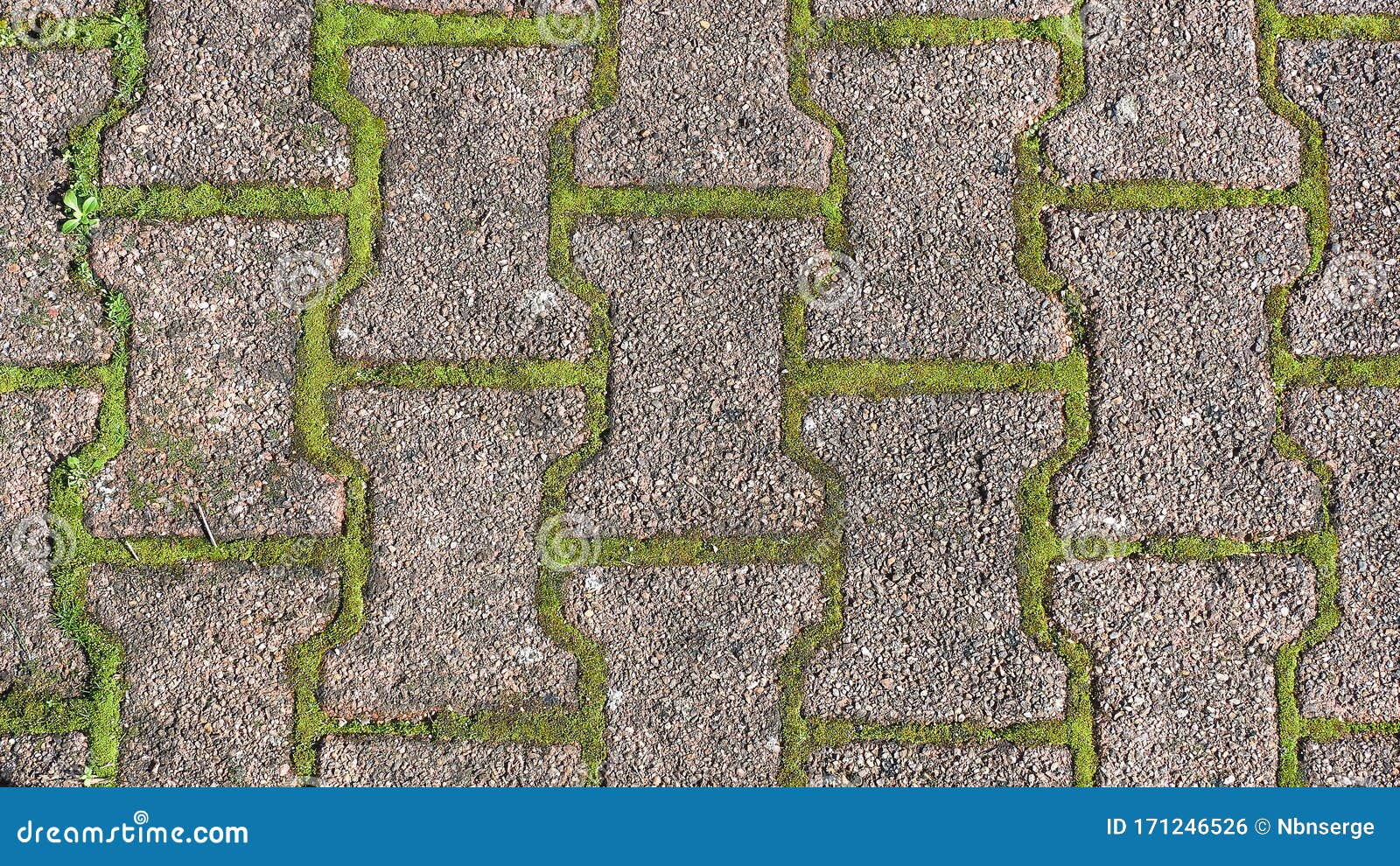 Texture of Pavement with Moss, Grass or Weeds. Background with Free ...