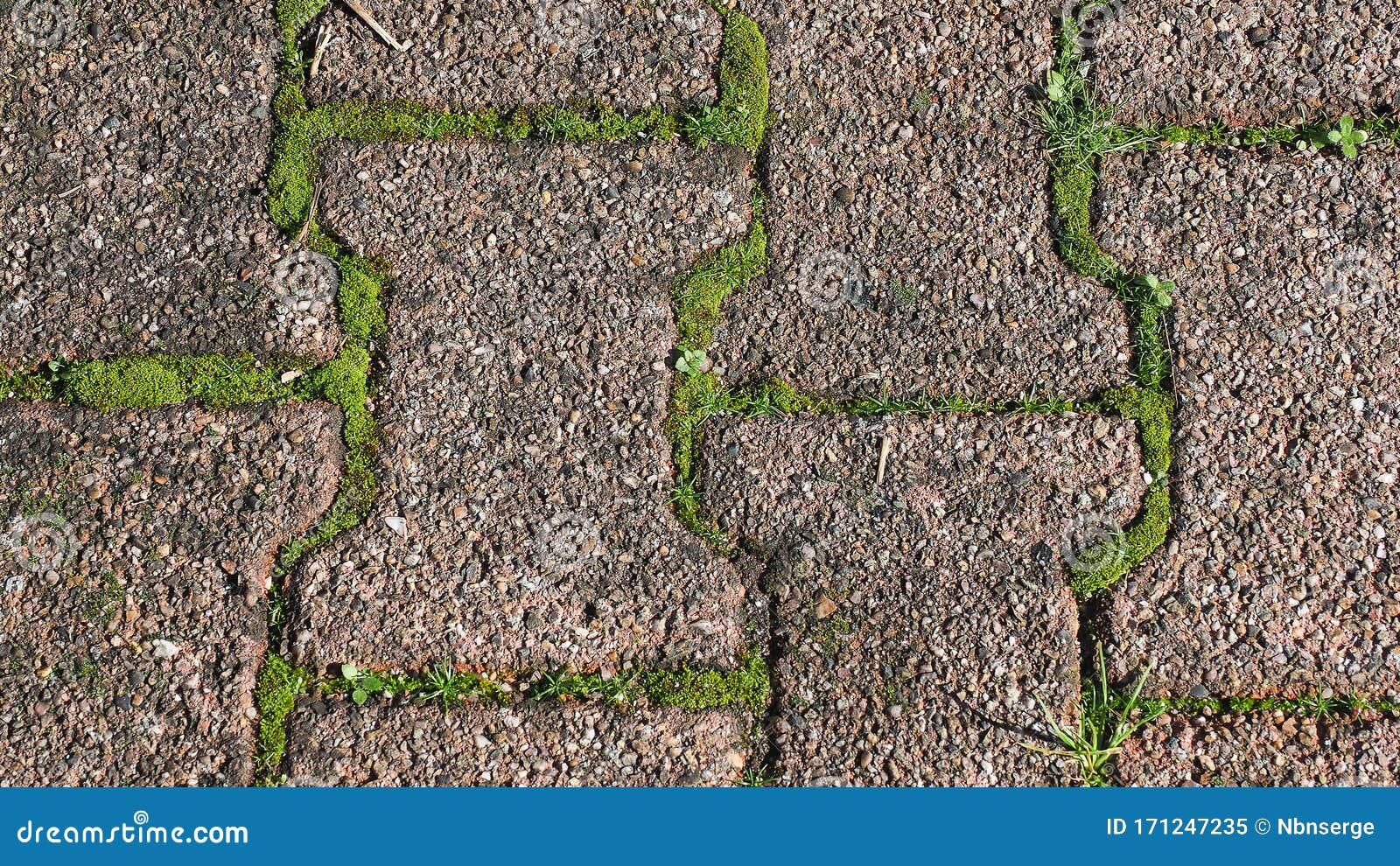 Footpath Texture With Grass