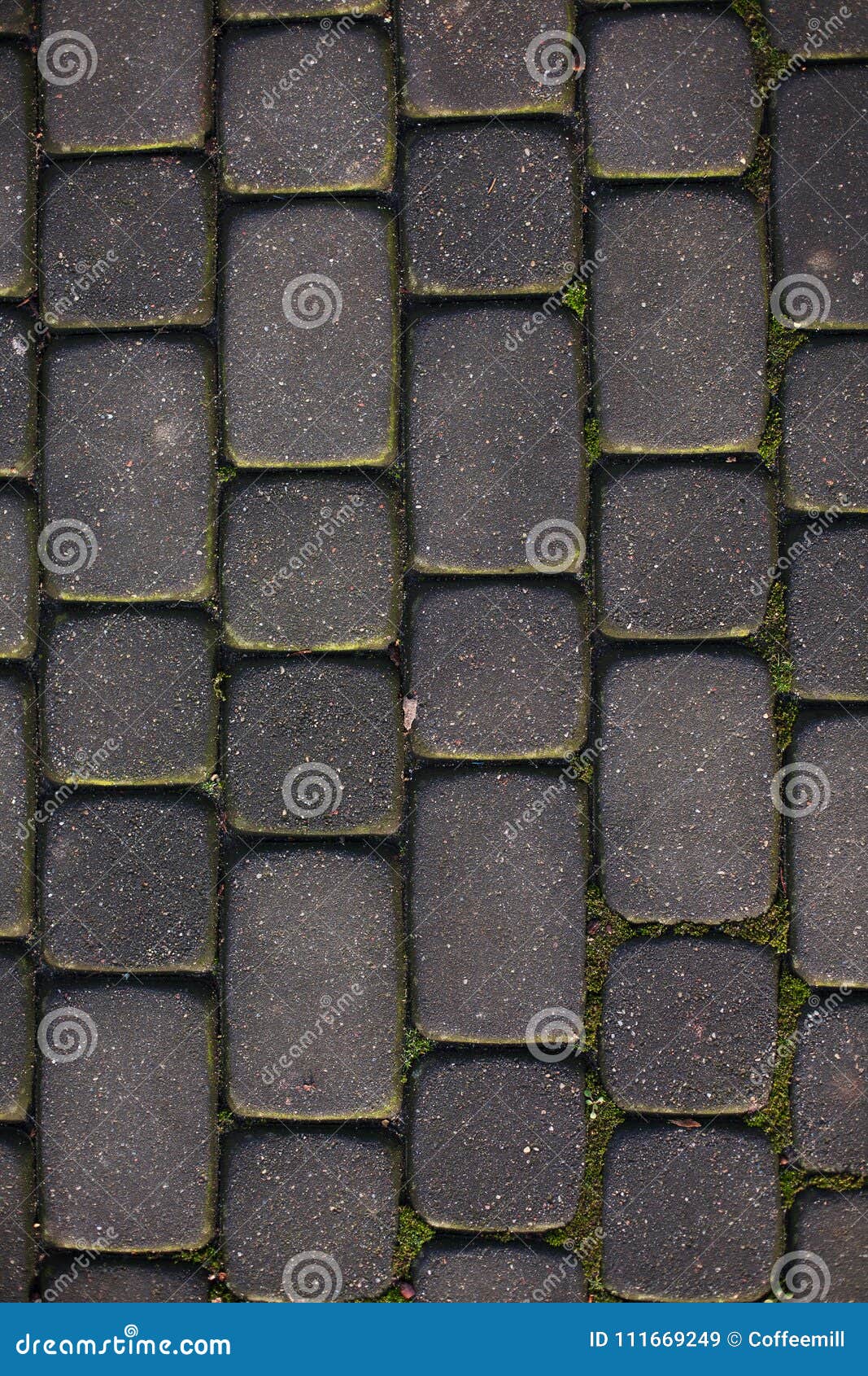 Texture of Pavers and Stone. Stock Image - Image of paving, stones ...