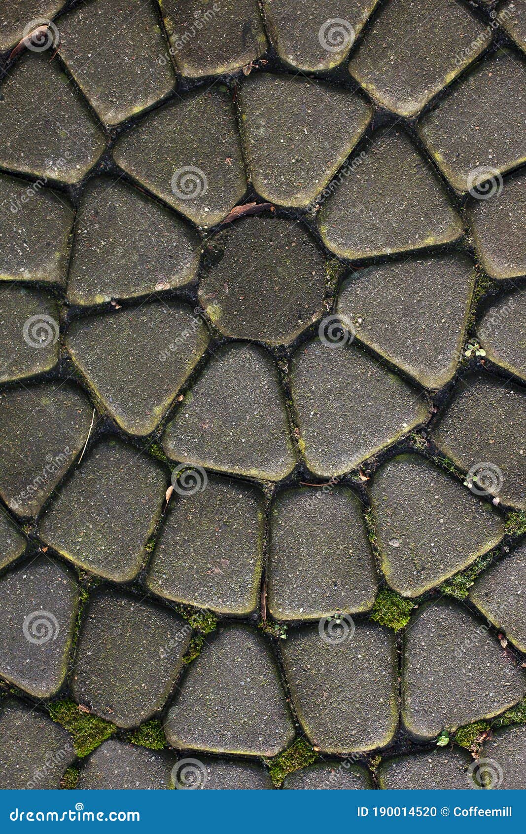 Texture of Pavers and Stone Stock Photo - Image of pavement, paving ...