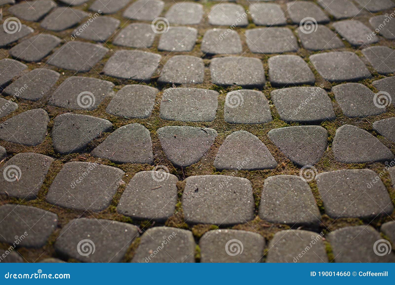 Texture of Pavers and Stone Stock Photo - Image of pavement, road ...