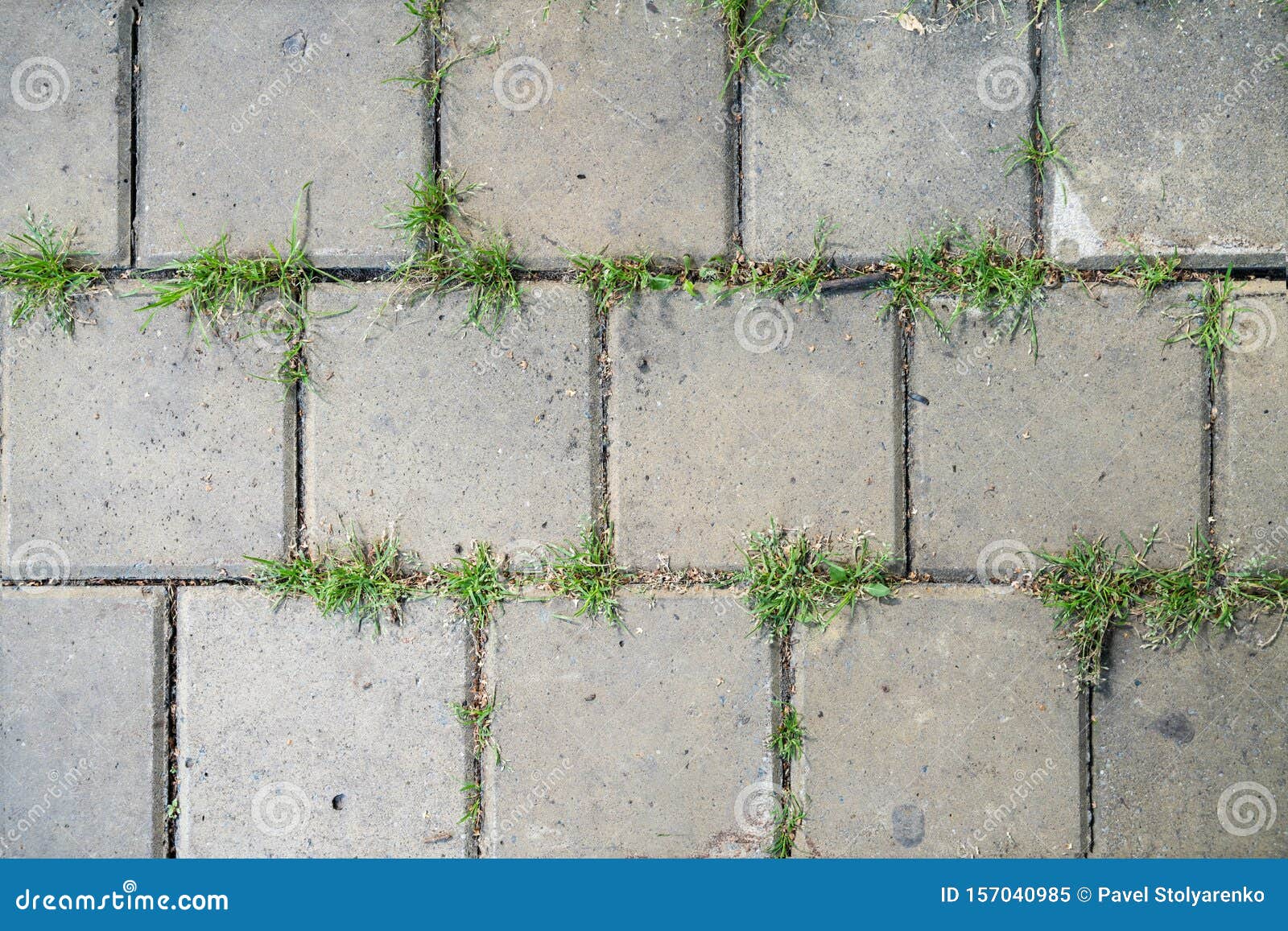 Texture of Paving with Green Grass Stock Image - Image of isolated ...