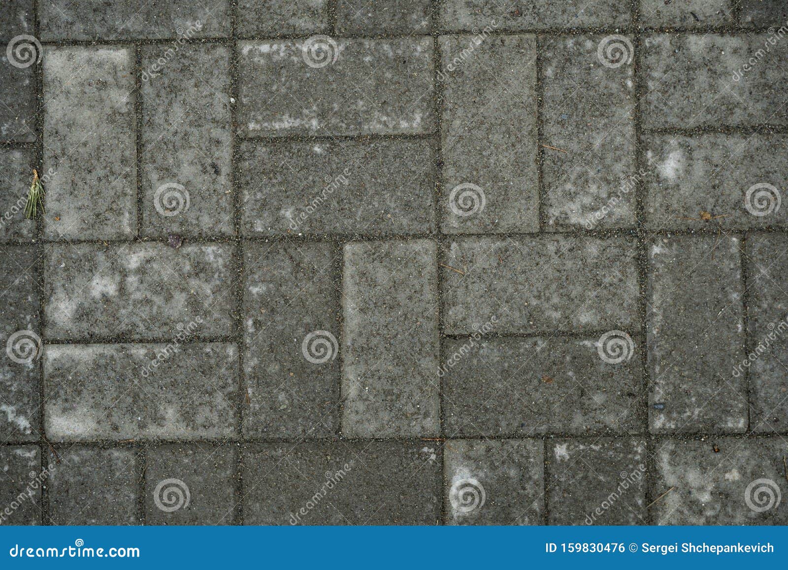 Texture of paving slabs stock photo. Image of abstract - 159830476
